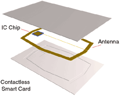 How Do I Store Data on My ID Cards? | ID Zone
